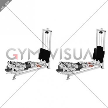 Sled Lying Calf Press illustration
