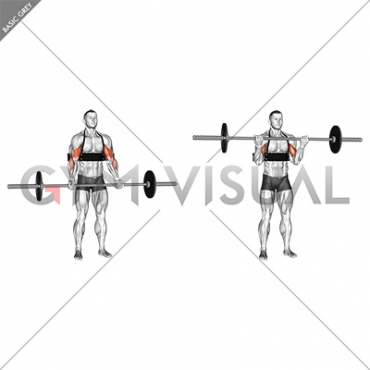 Barbell Biceps Curl (with arm blaster)