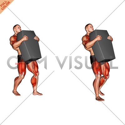 StrongMan Shield Carry