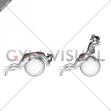 Exercise Ball Back Extension With Hands Behind Head (female)