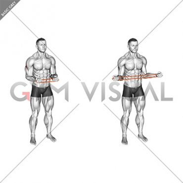 Resistance Band Pullapart (Supination at 90 Degrees)