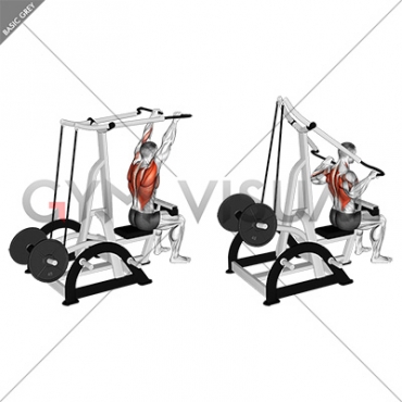 Lever High Row (plate loaded)