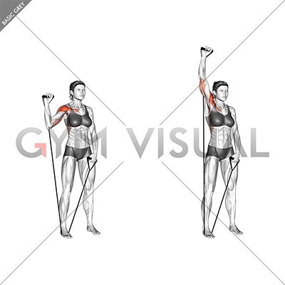 Band Single Arm Shoulder Press (female)