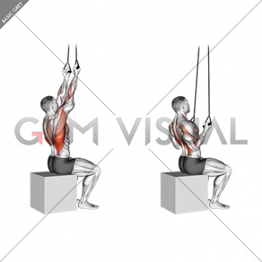 Band Fixed Back Underhand Pulldown
