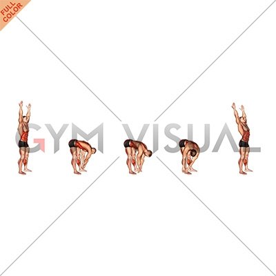 Side-to-Side Toe Touch (male)