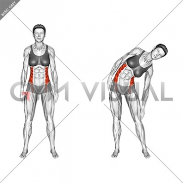 Standing Side Bend (female)