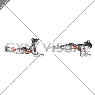 Elbow Push up (female)