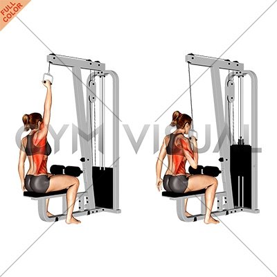 Cable One Arm Lat Pulldown (female)