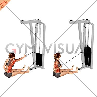 Cable One Arm Twisting Seated Row (female)