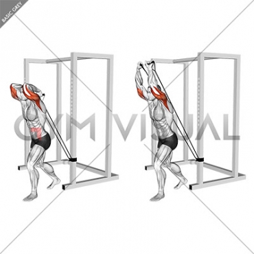 Band overhead triceps extension (male)