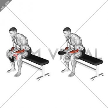 Weighted Seated Reverse Wrist Curl