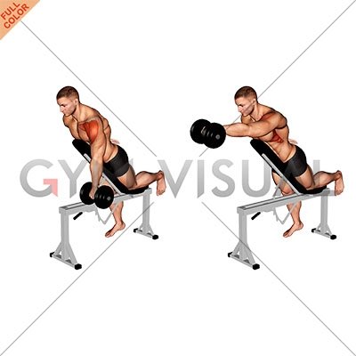 Dumbbell Incline One Arm Front Raise with Chest Support