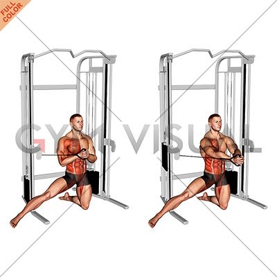 Cable Half Kneeling Adductor Pallof Press