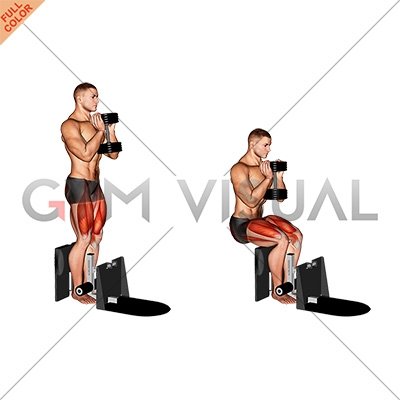 Dumbbell Supported Squat