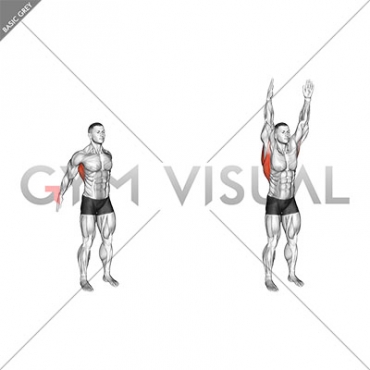 Dynamic Back Stretch (male)