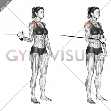 Band standing internal shoulder rotation