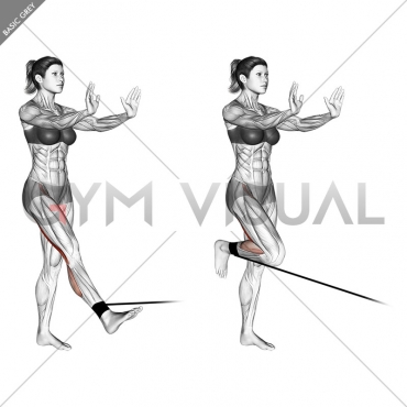 Band standing leg curl