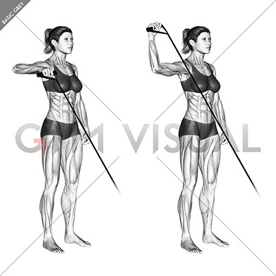 Band Upright Shoulder External Rotation