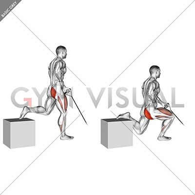 Band One Arm Single Leg Split Squat