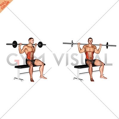 Barbell Seated Twist