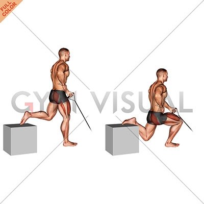 Band One Arm Single Leg Split Squat