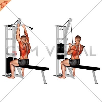 Front Pulldown
