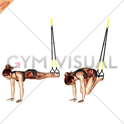 Suspension Jack knife