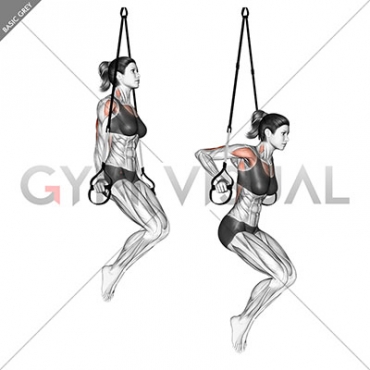 Suspension Triceps Dip