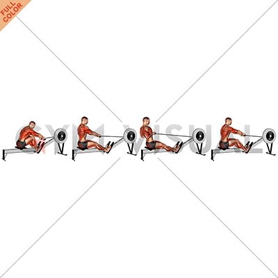 Rowing (with rowing machine)