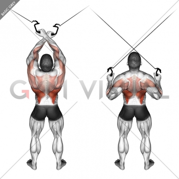 Cable Cross-over Lateral Pulldown