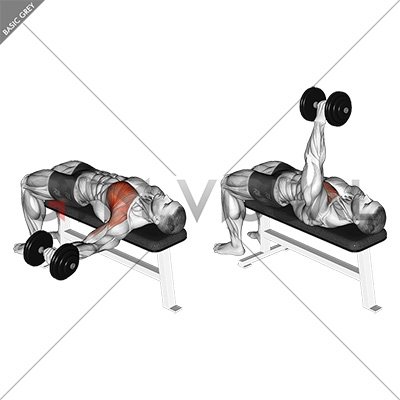 Dumbbell One Arm Bench Fly