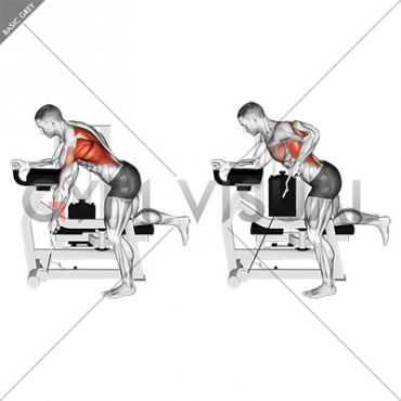 Lever Unilateral Row