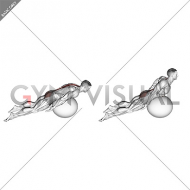 Exercise Ball Back Extension With Knees Off Ground