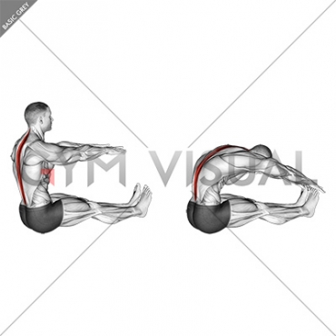 Spine Stretch