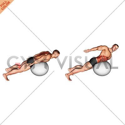 Exercise Ball Back Extension With Rotation