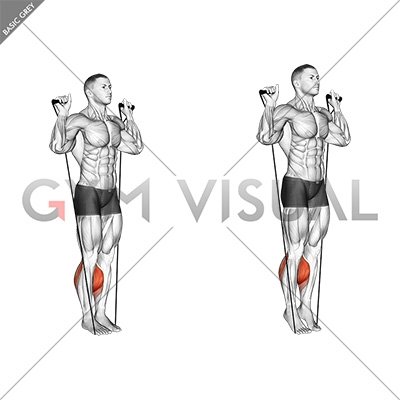Band Calf Raise (Version 3)
