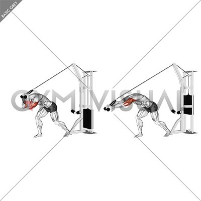 Cable Rope High Pulley Overhead Tricep Extension