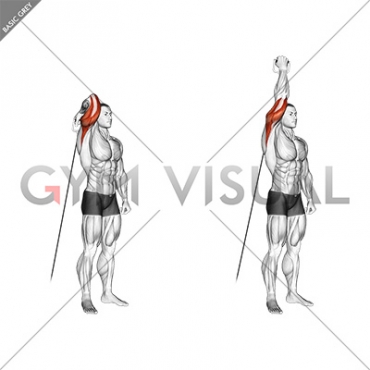 Cable One Arm Tricep Extension