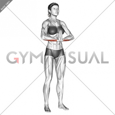 Wrist Flexor Stretch