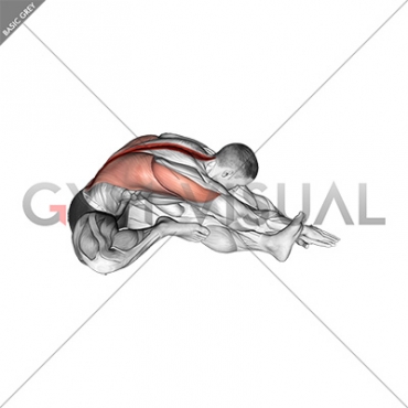 Sitting Side Reach Stretch