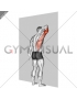 Triceps Stretch Against Wall