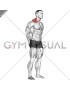 Neck Protraction Stretch