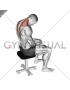Sitting Neck Flexion Stretch