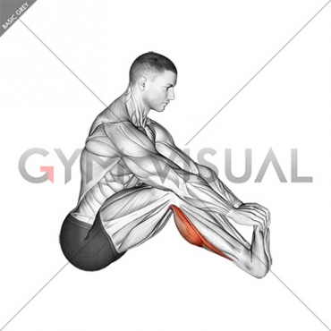 Sitting Toe Pull Achilles Stretch