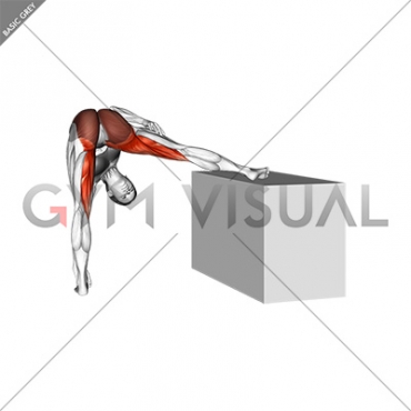 Standing Raised Leg Hip Adductor Stretch
