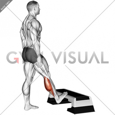 Standing Toe Up Calf Stretch