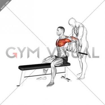 Assisted Sitting Reverse Shoulder Stretch