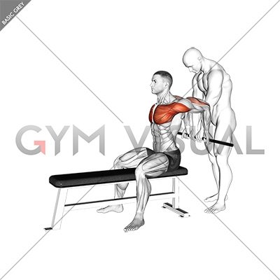 Assisted Sitting Reverse Shoulder Stretch