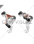 Dumbbell Pronated Grip Row (female)