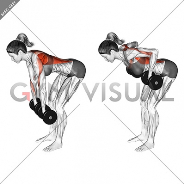Dumbbell Pronated Grip Row (female)